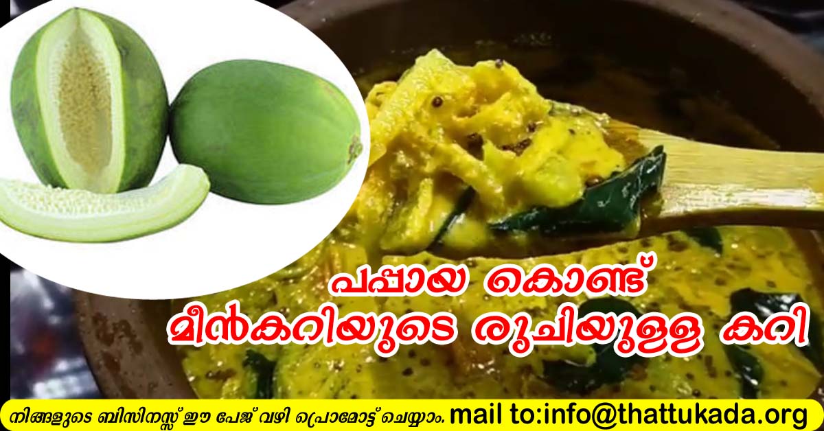 Papaya Curry - Thattukada